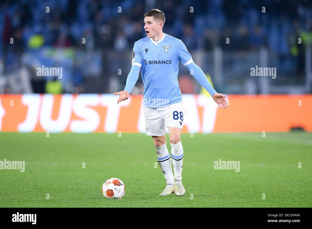 Toma basic hi-res stock photography and images - Alamy