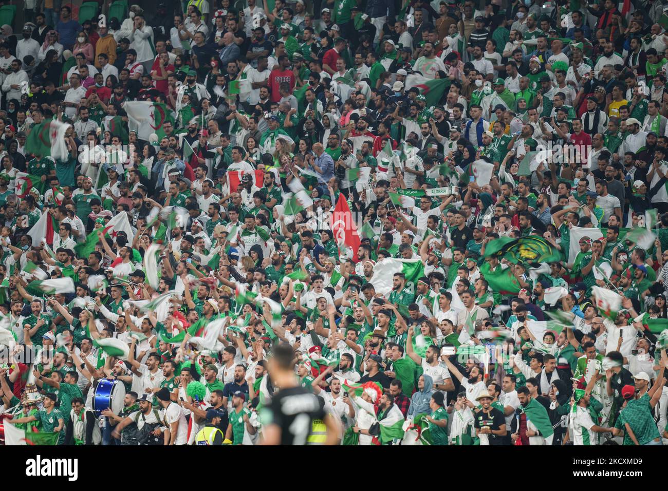 Fans of Algeria team during the FIFA Arab Cup Qatar 2021 Quarter-Final ...