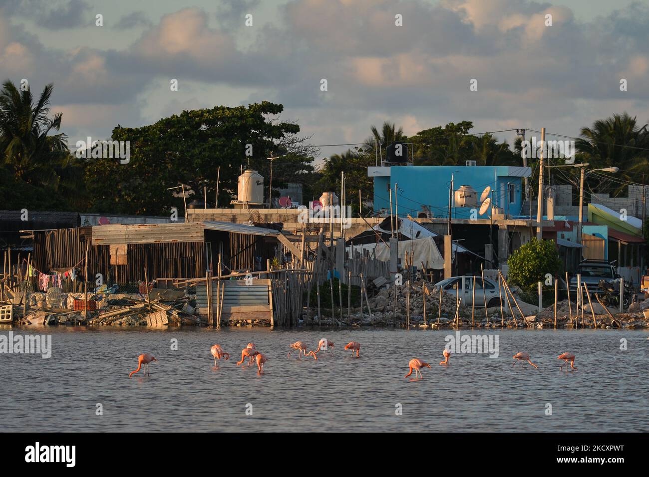 Spanish colony mexico hi-res stock photography and images - Alamy
