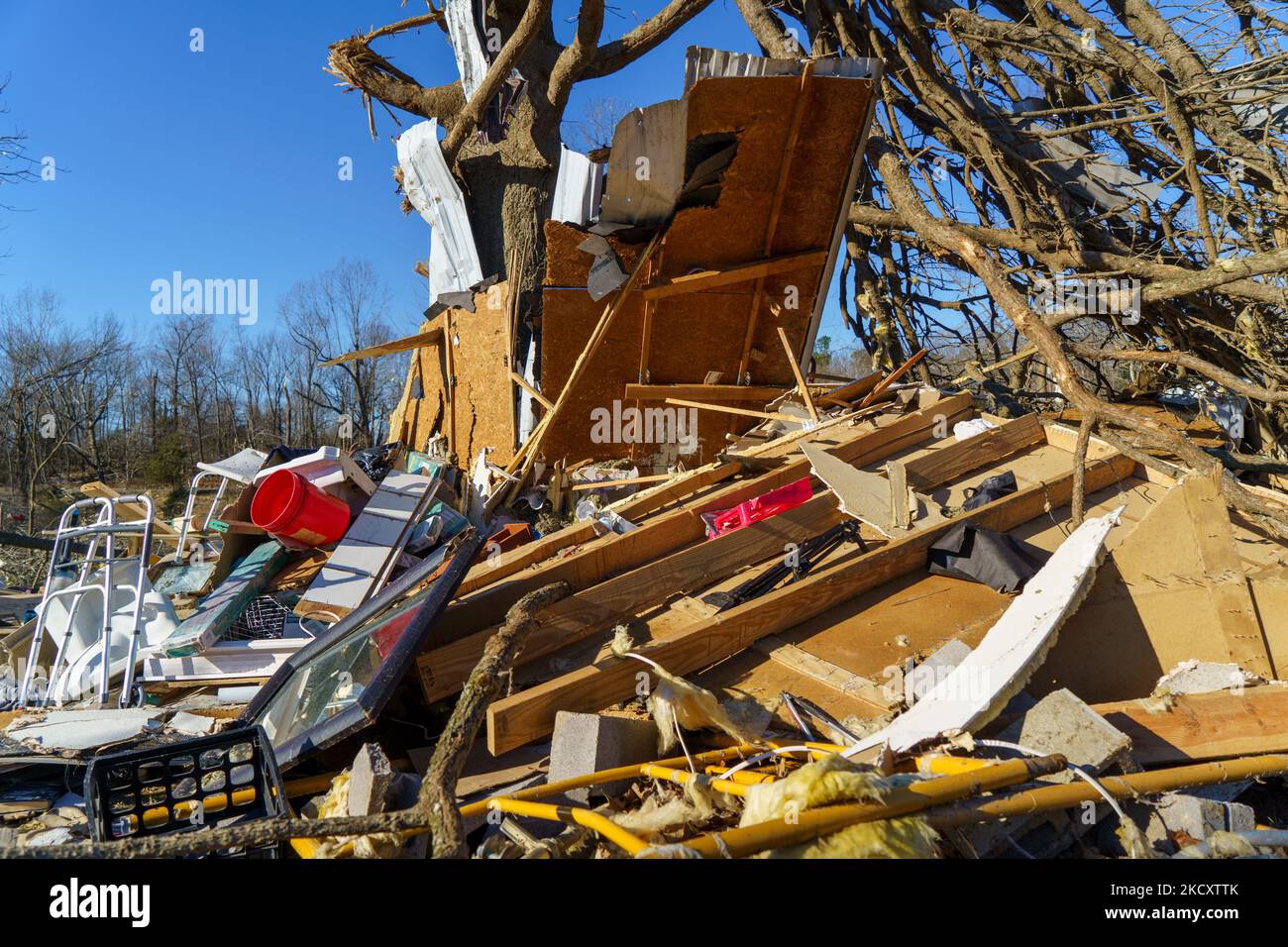 A framing stud that has been impaled into a tree through a sheet of ...