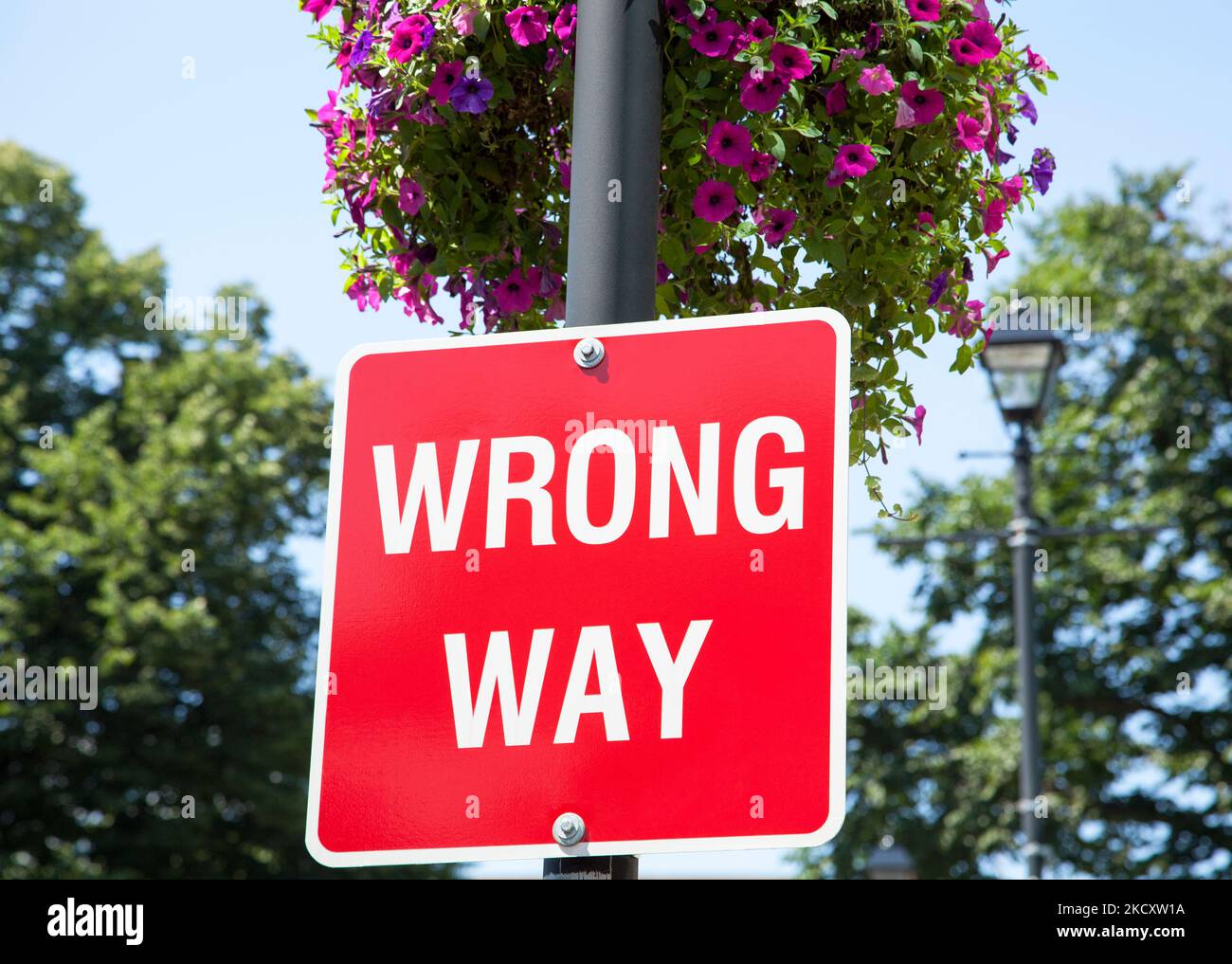The red color 'wrong way' sign with flowers on a lamppost in Halifax ...