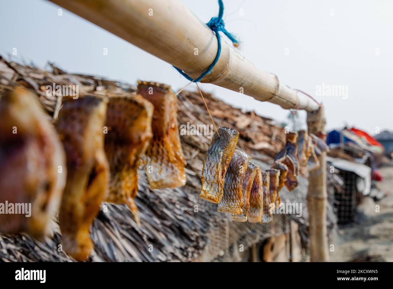 People dry fish in front of their houses in shatkhira, Bangladesh ...