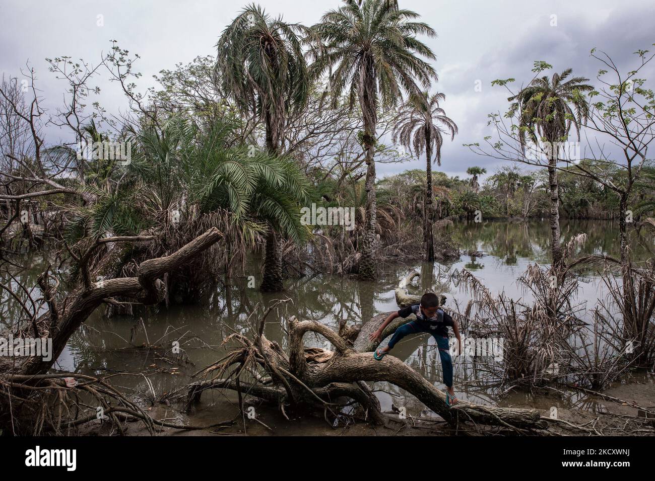 A landscape of Shatkhira- after being hit by the recent cyclon Amphan ...