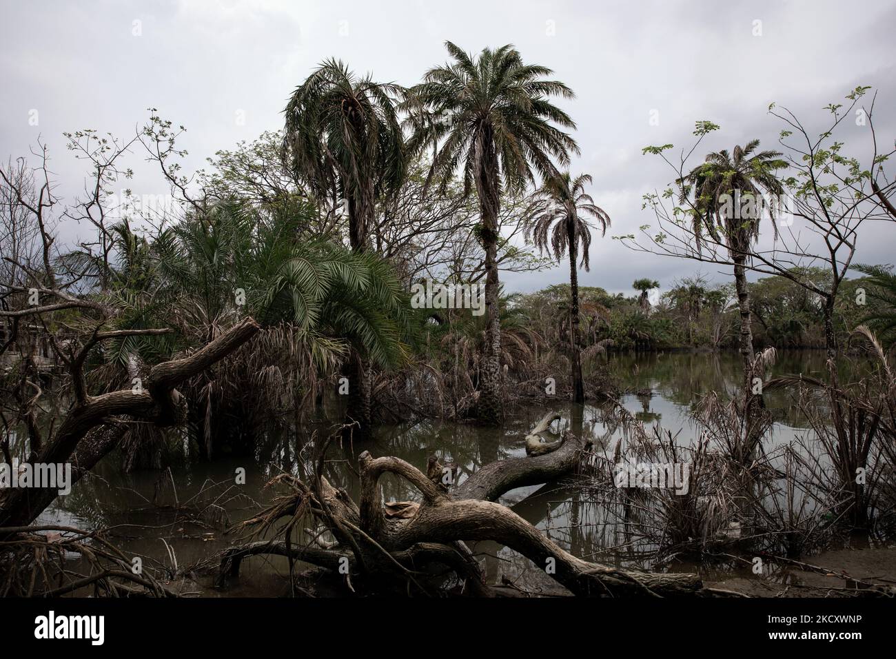 A landscape of Shatkhira- after being hit by the recent cyclon Amphan ...