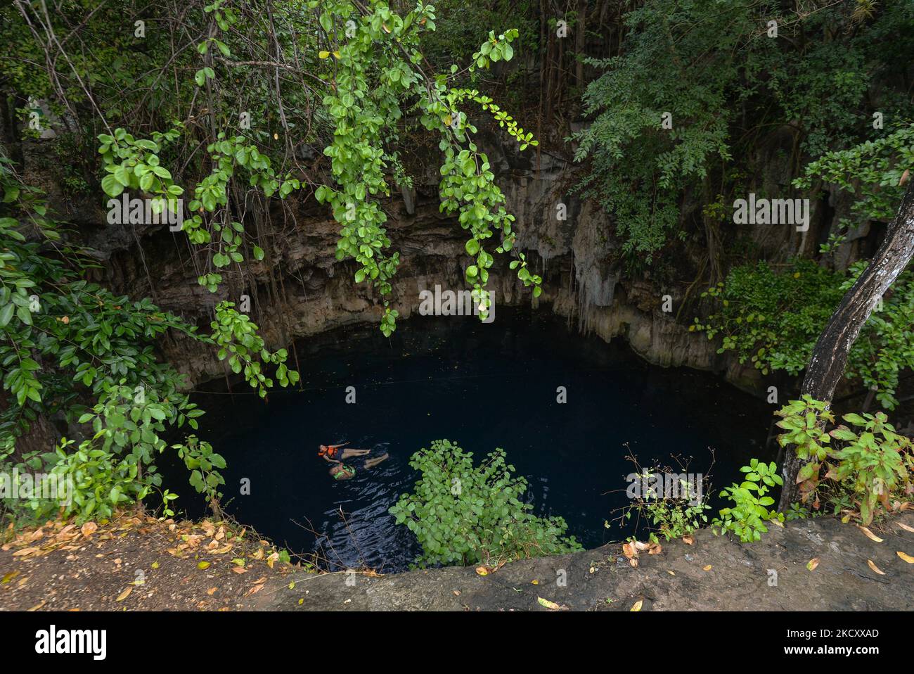 Yaal hi-res stock photography and images - Alamy