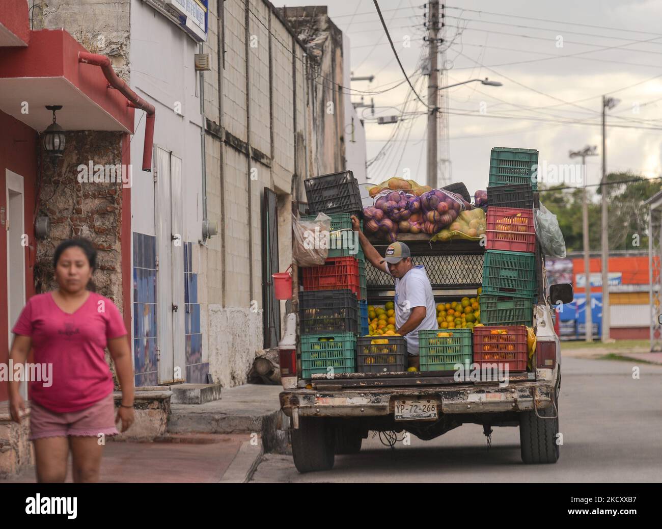 Usda Fruit And Vegetable Truck Rate Report at Edward Mcfarlane blog