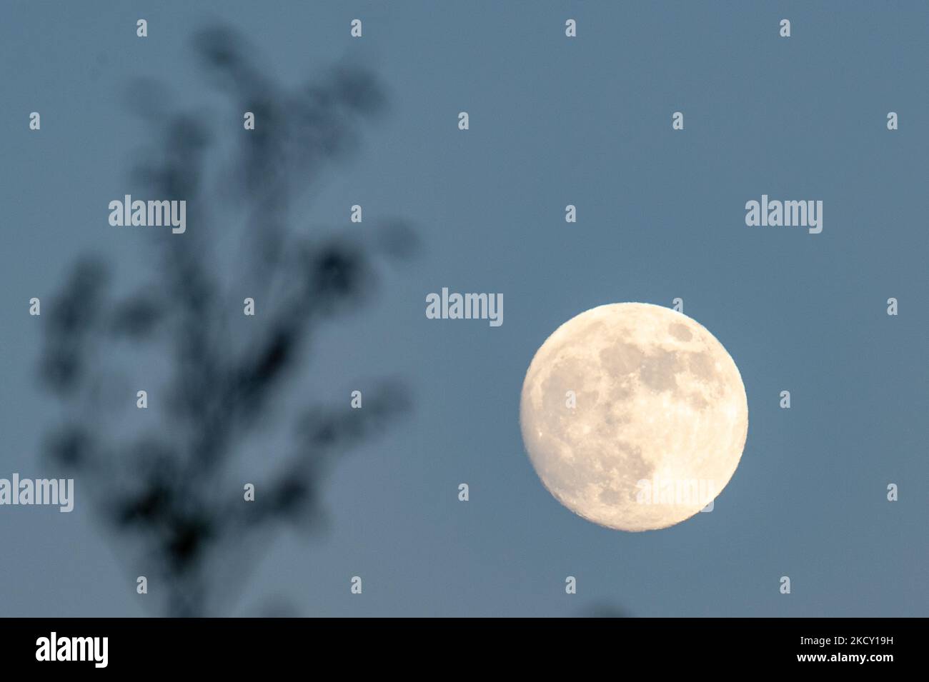 The sky is preparing for the full moon on 19 December, the full moon of ...