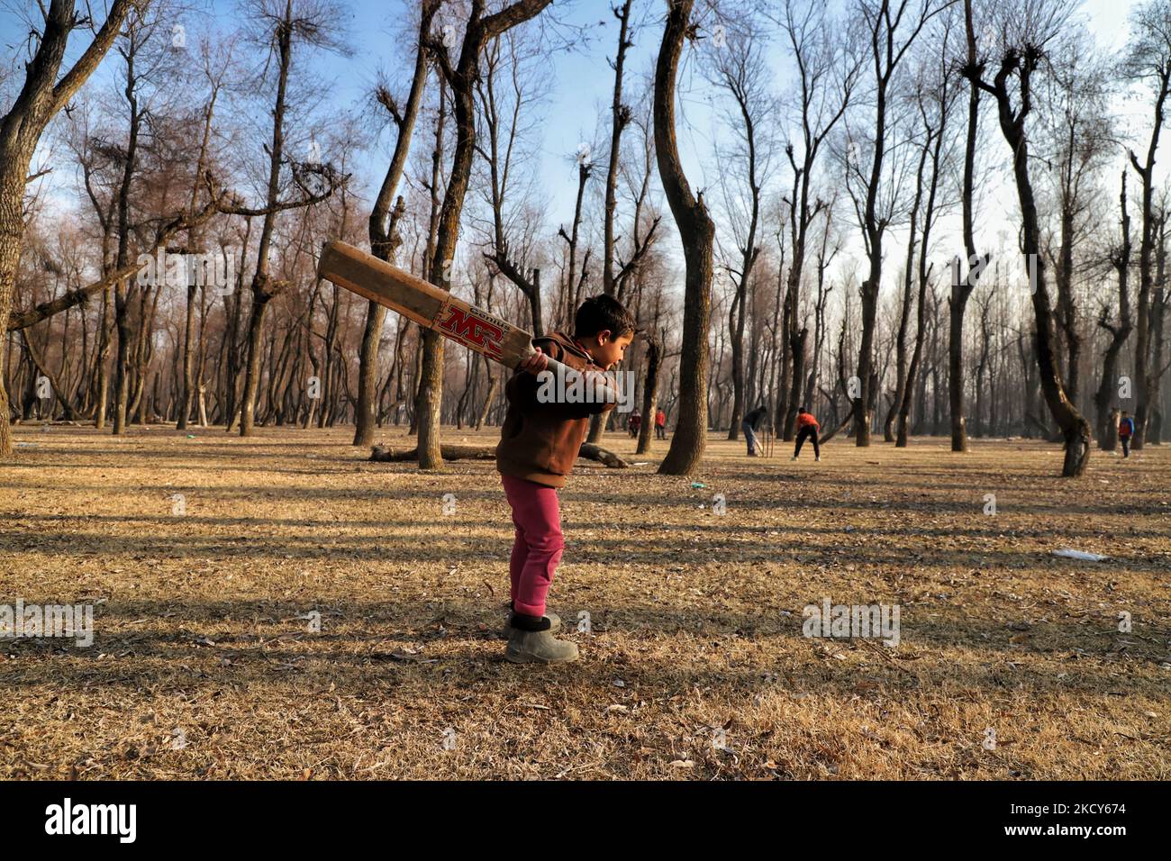 Mrf cricket bat hi-res stock photography and images - Alamy