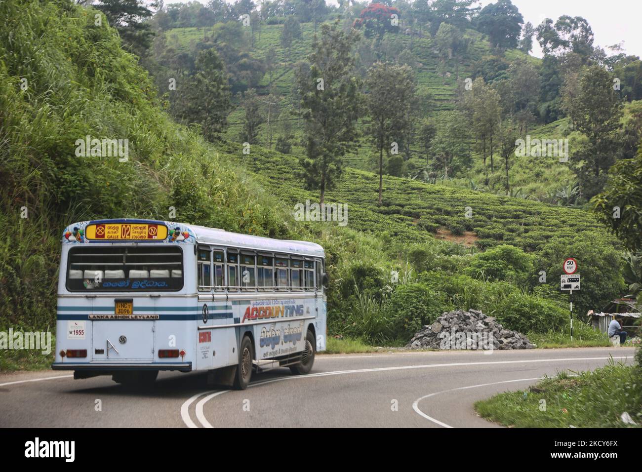 Public bus travels along a road cutting through the tea plantations ...