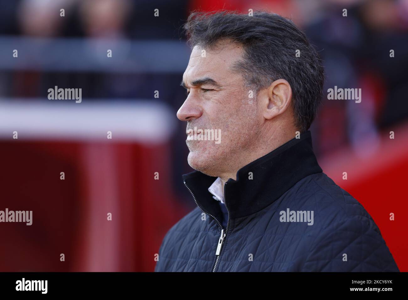 Luis Garcia, manager of RCD Mallorca during the La Liga match between ...