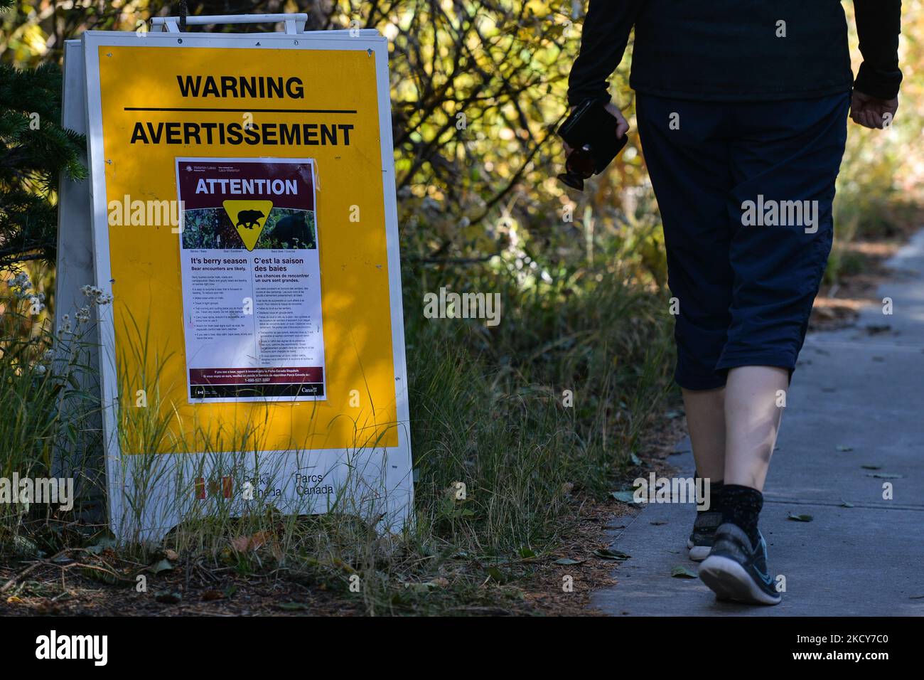 Bear warning sign near Cameron Lake inside Waterton Lakes National Park ...