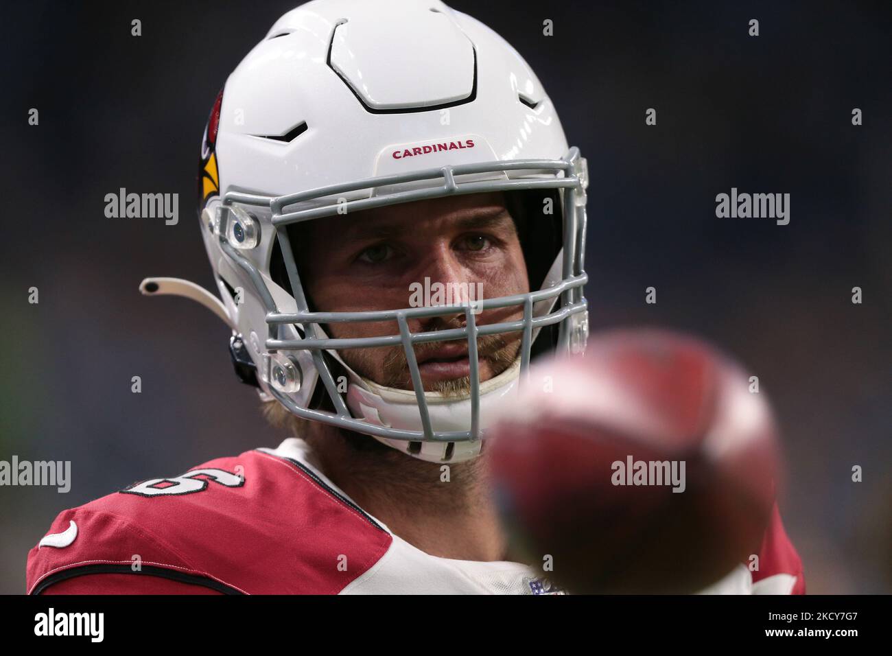 Arizona cardinals long snapper hi-res stock photography and images - Alamy