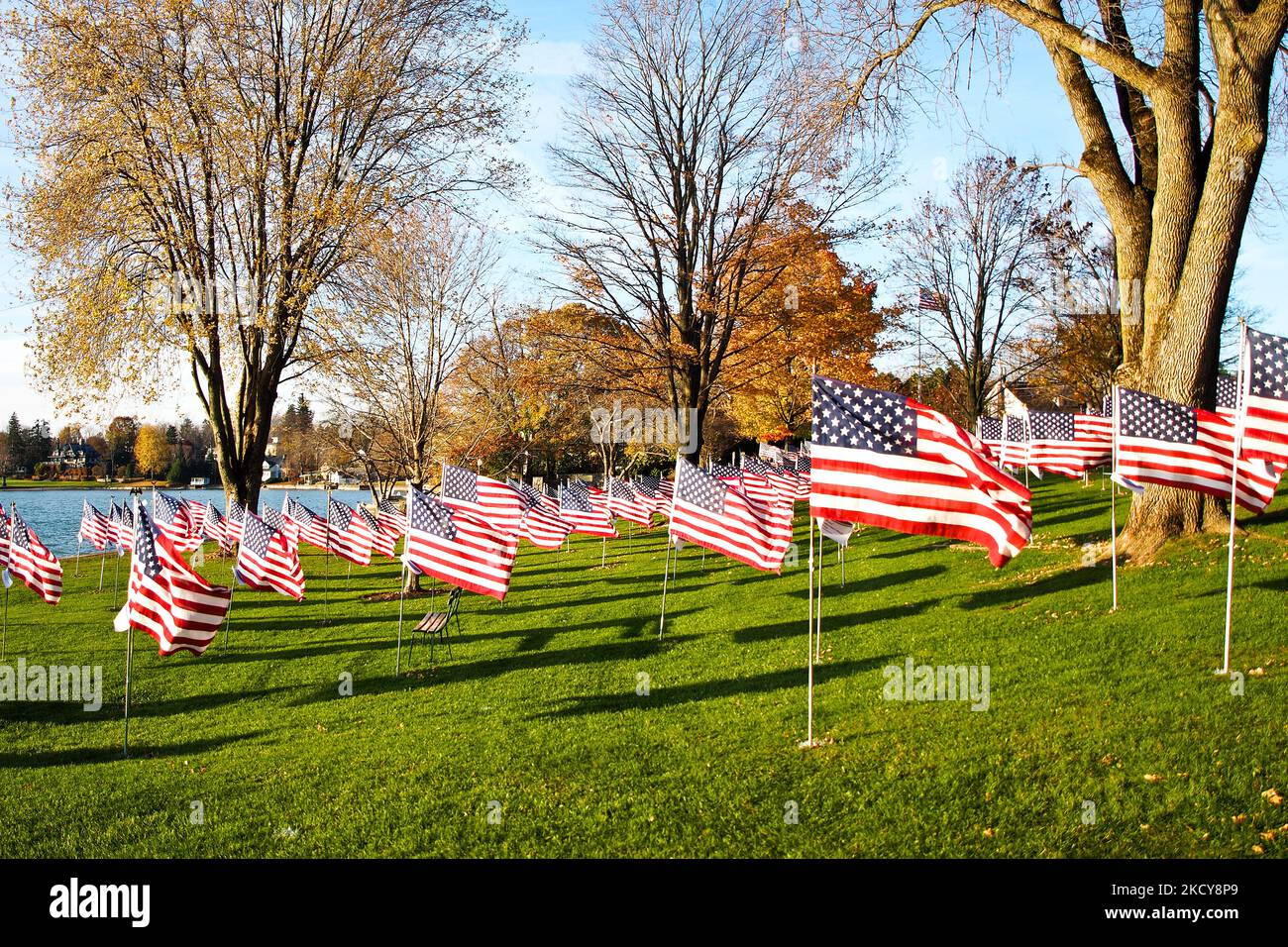 American flags flying in honor of veterans for Veterans Day along a ...