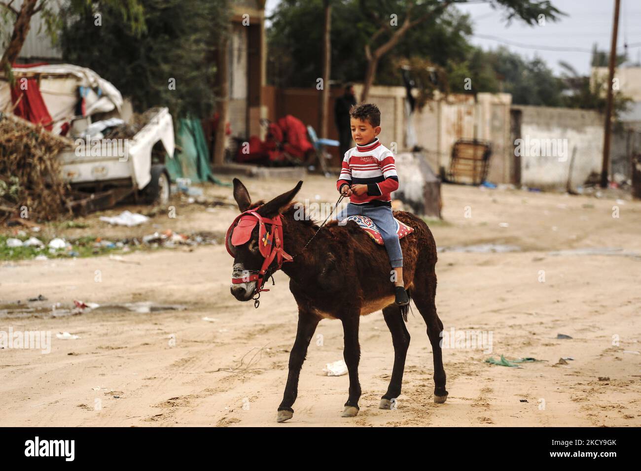 A Palestinian boy rids a donkey outside his family house during a ...