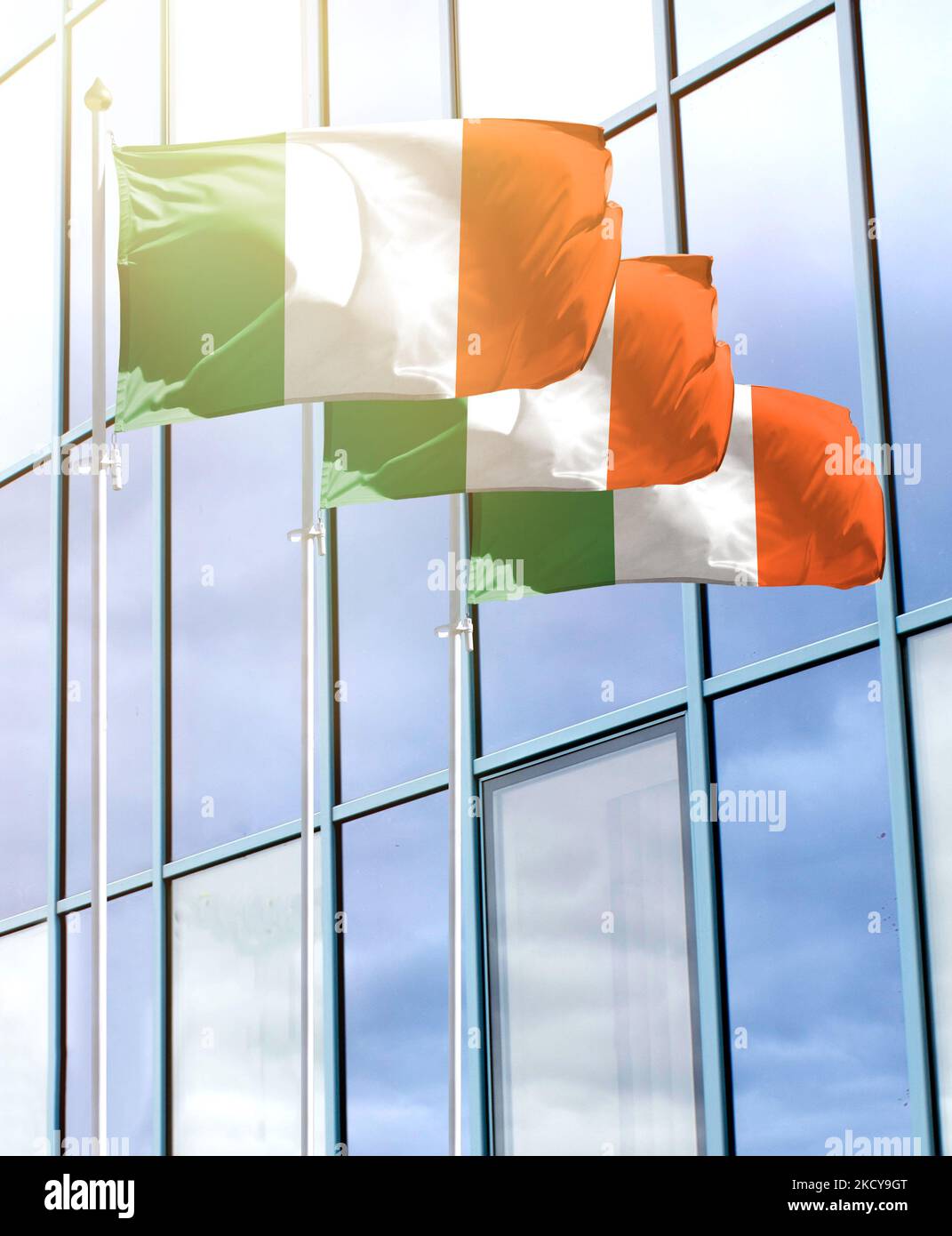 Flagpoles with the flag of Ireland in front of the business center ...