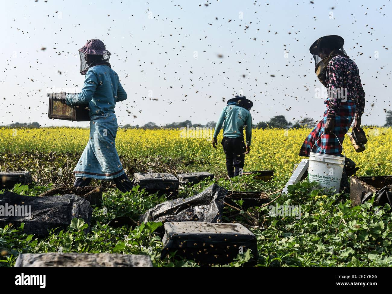 2024 india hi-res stock photography and images - Alamy