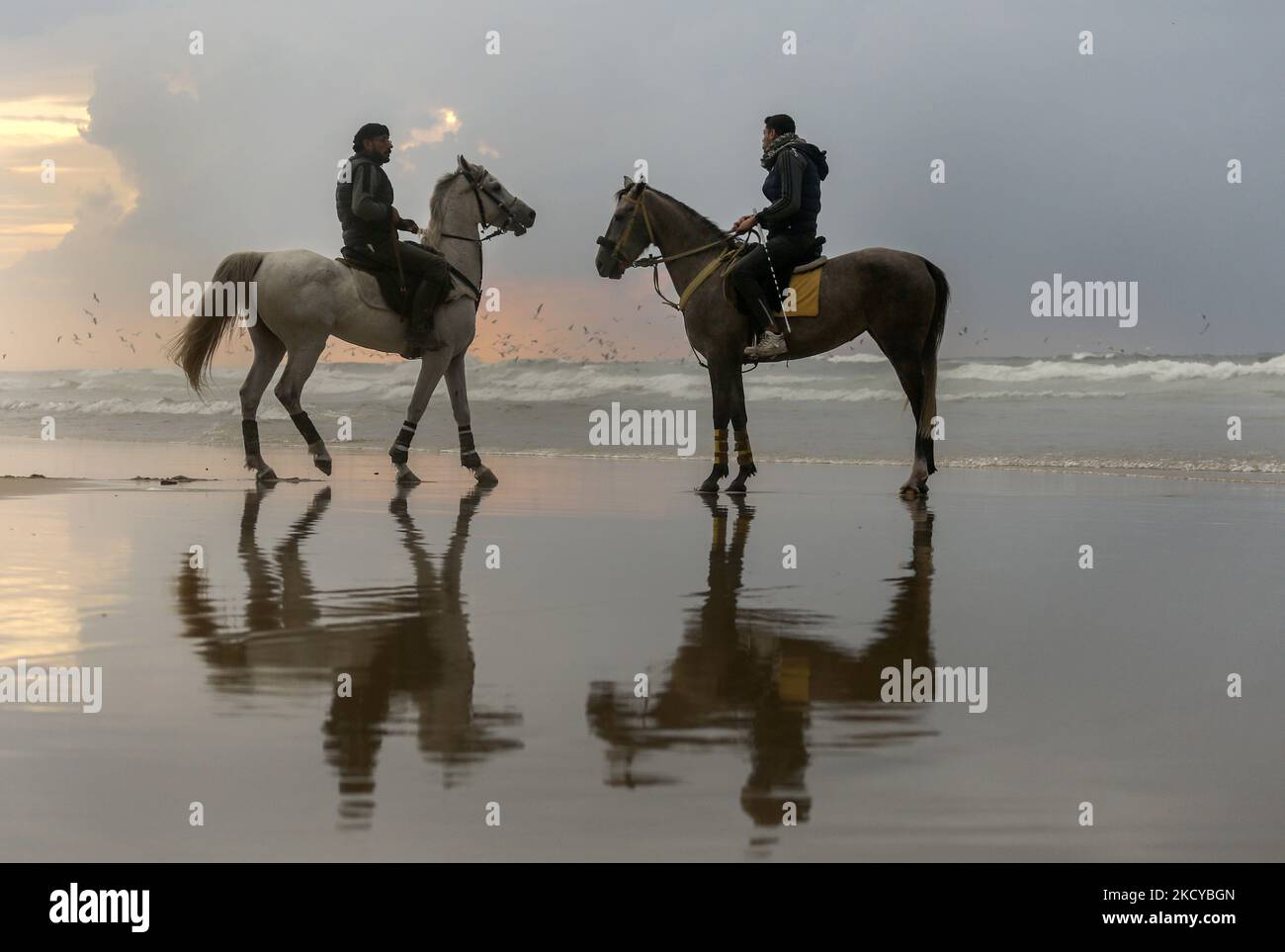 Palestinians ride their horses in front of Gaza beach during rainy day ...