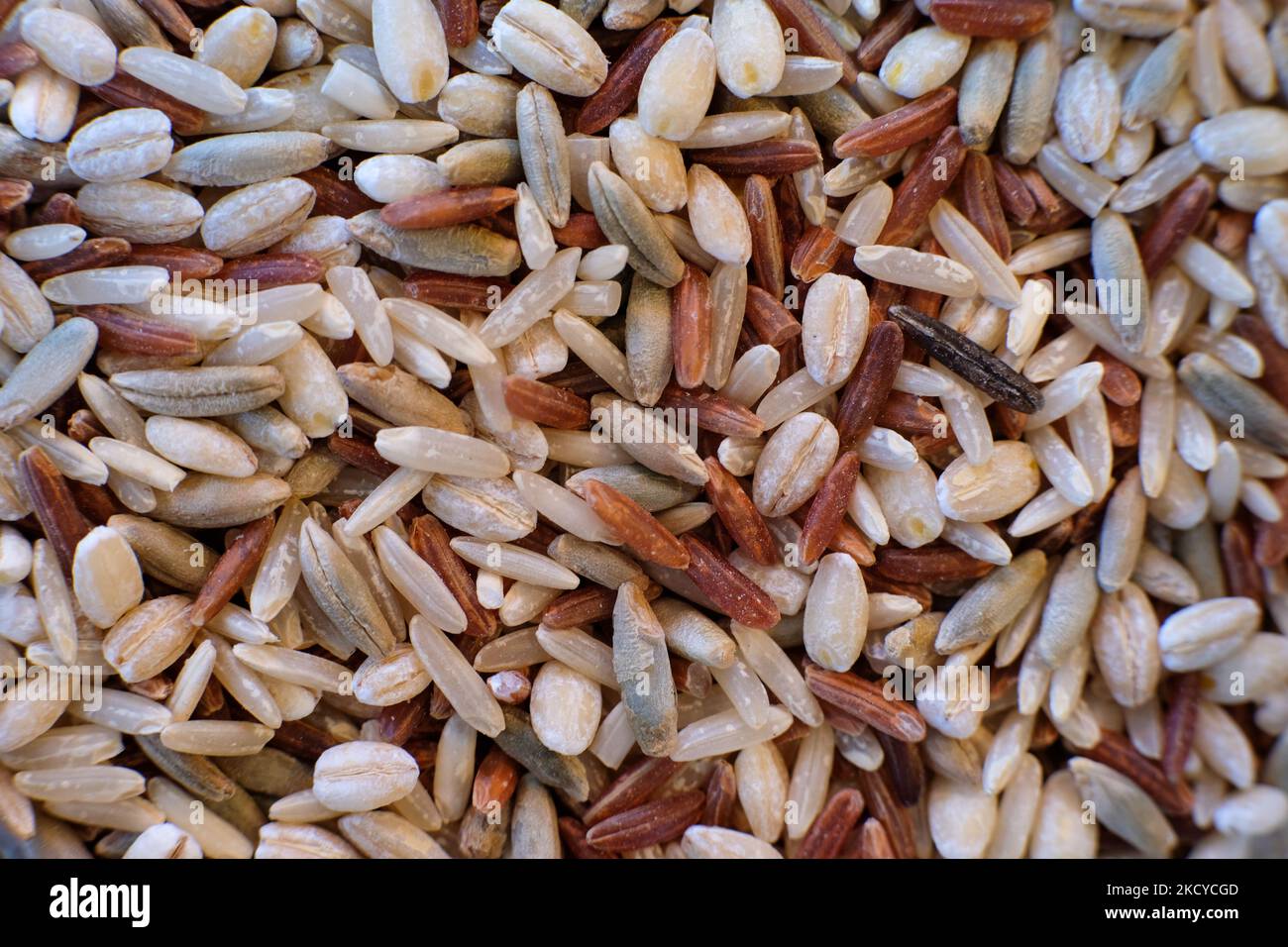Mass of dry and multi colored rice ready to be cooked Stock Photo - Alamy