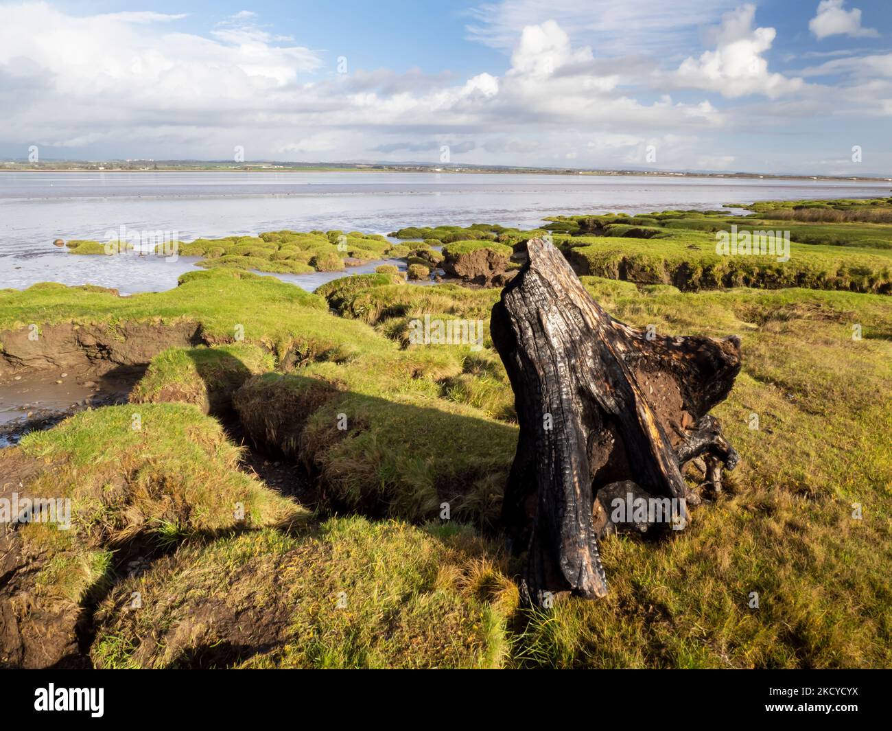 Salt marsh in Bowness on Solway on the Solway estuary in Cumbria, UK ...