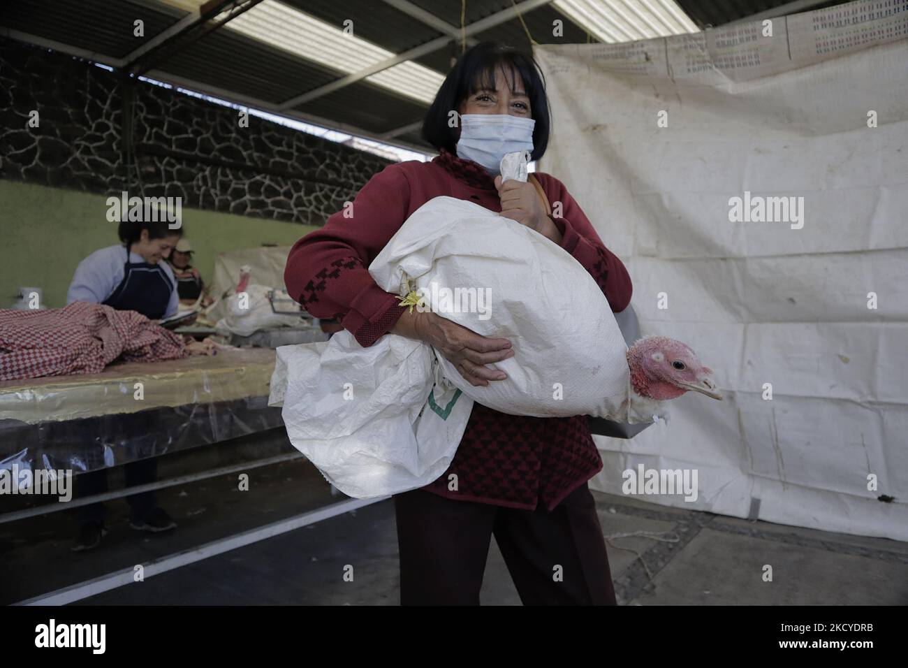 A woman carries a sack with a turkey she bought with members of the ...