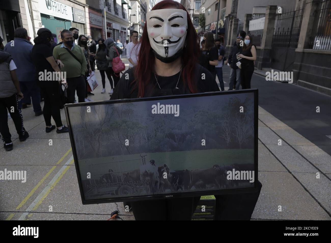 Anonymous for the voiceless demonstrates against animal exploita hi-res ...