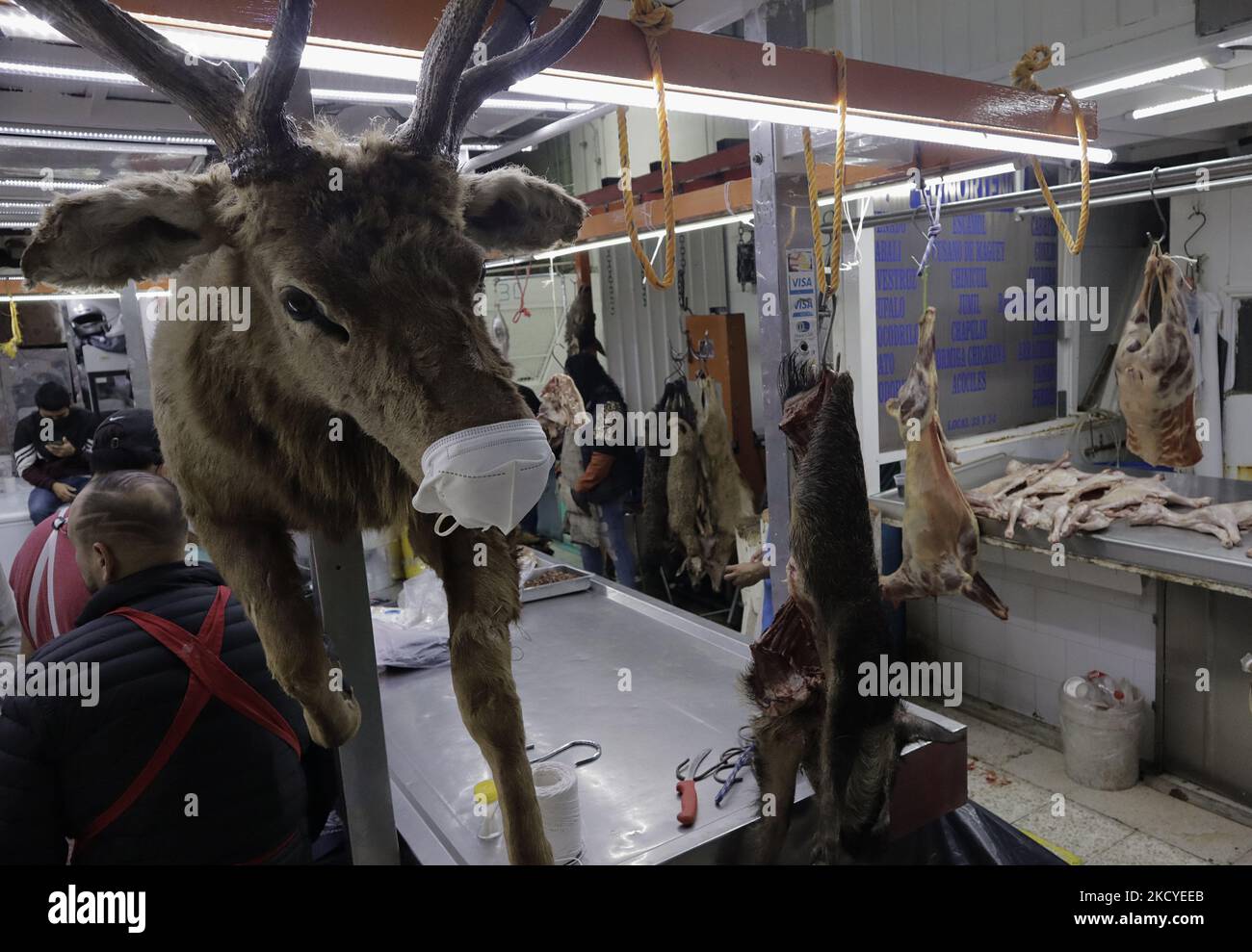 A stuffed reindeer with a mouthpiece inside the San Juan Pugibet Market ...