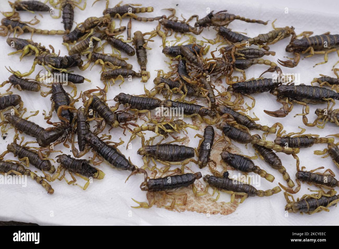 The sale of scorpions inside the San Juan Pugibet Market located in the ...