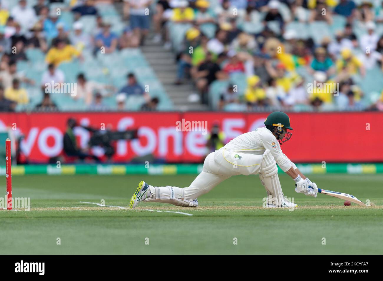 Alex carey 2021 ashes hi-res stock photography and images - Alamy