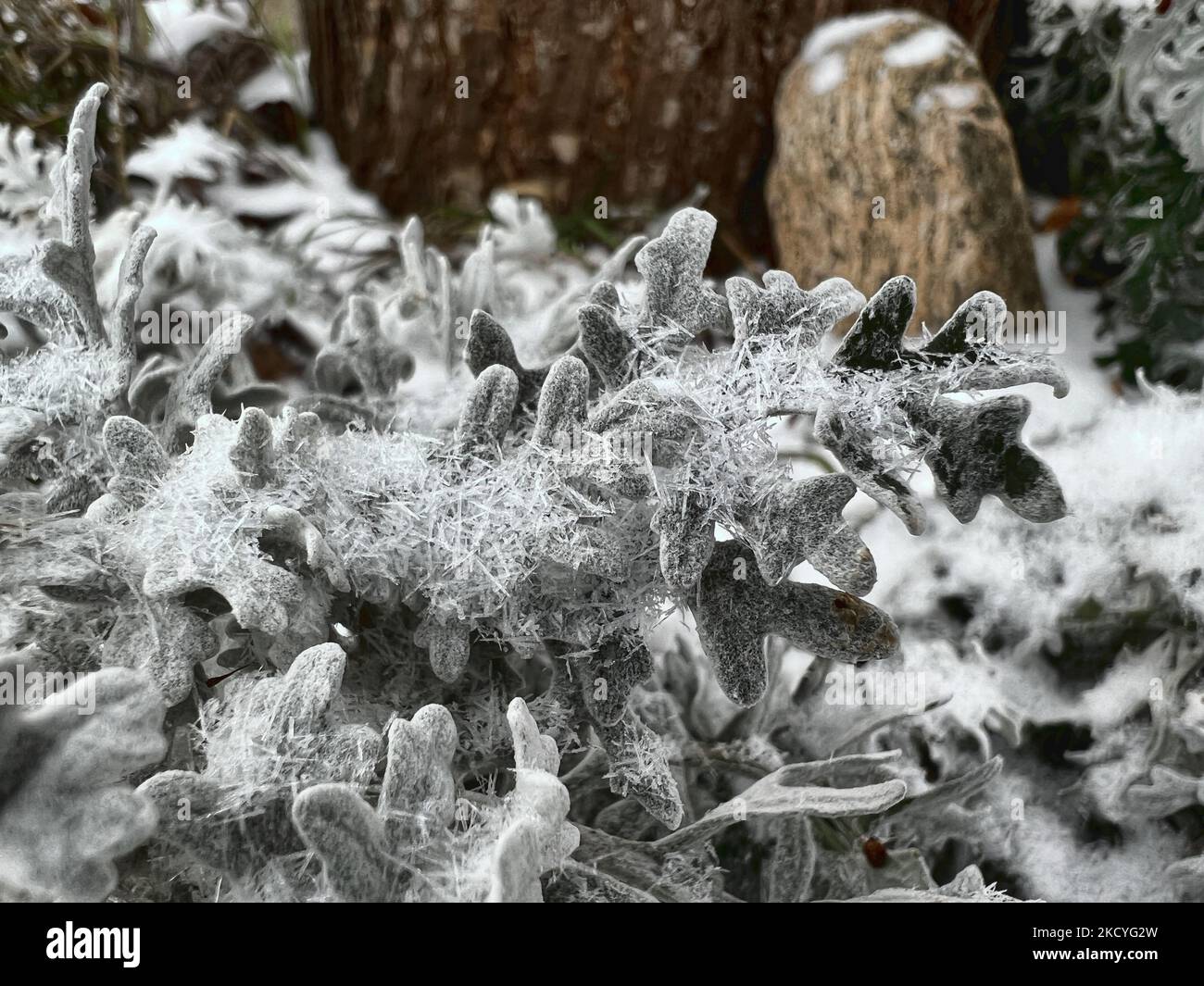 Freeing rain hi-res stock photography and images - Alamy