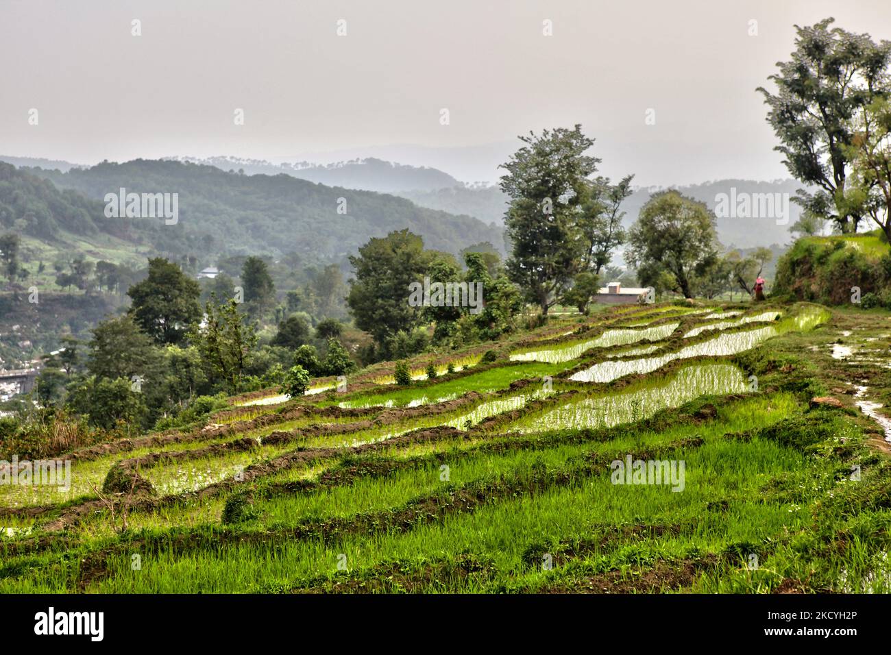Himachali village hi-res stock photography and images - Alamy