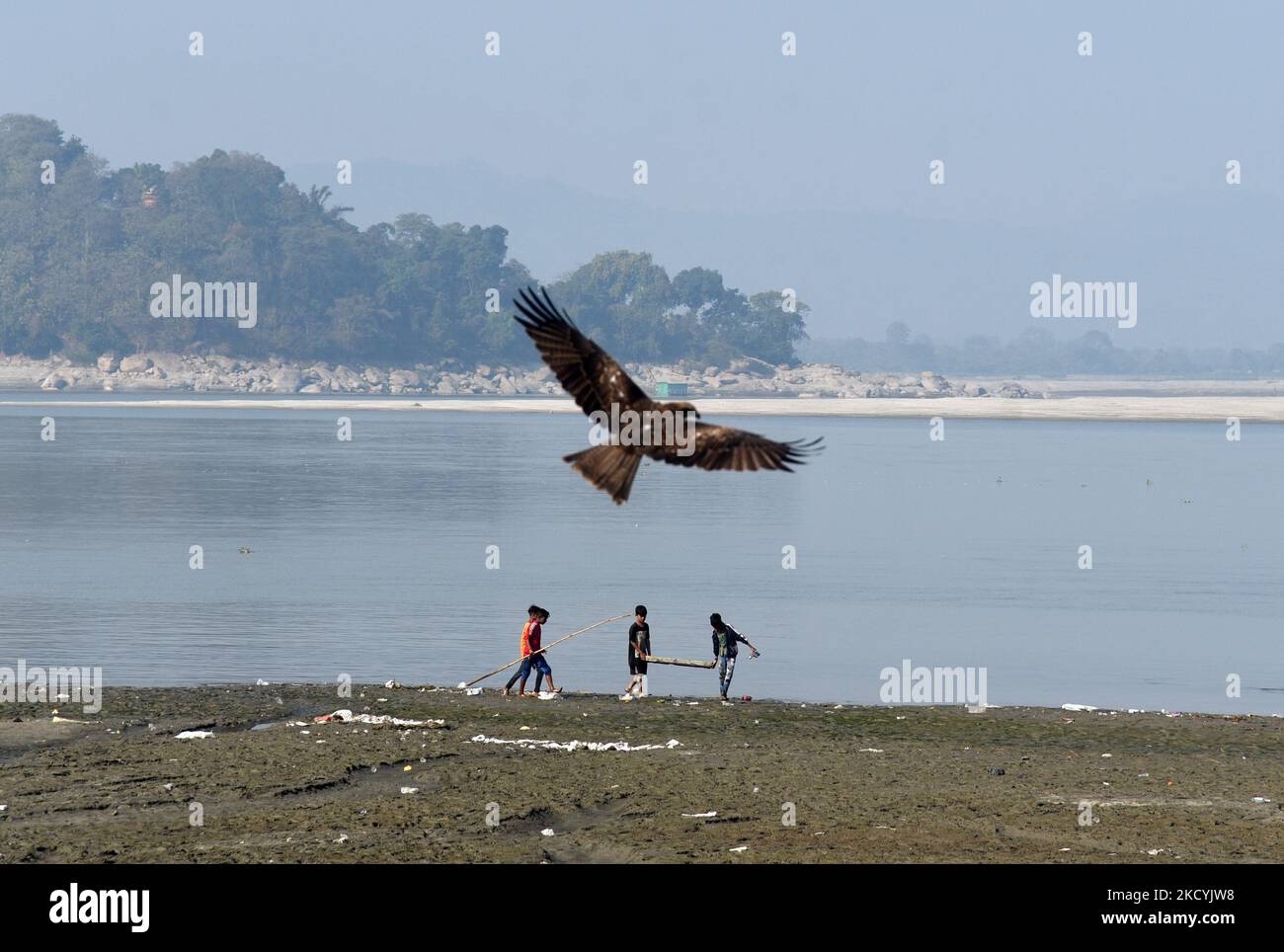 Recyclable meterials hi-res stock photography and images - Alamy