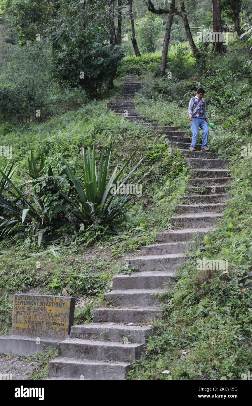 Lepcha man travels along a stairway cutting through the jungle and ...