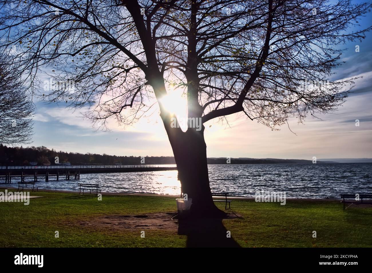Sun behind a tree, cliche shot, along Skaneateles Lake in Skaneateles ... Sun behind a tree, cliche shot, along Skaneateles Lake in Skaneateles ...