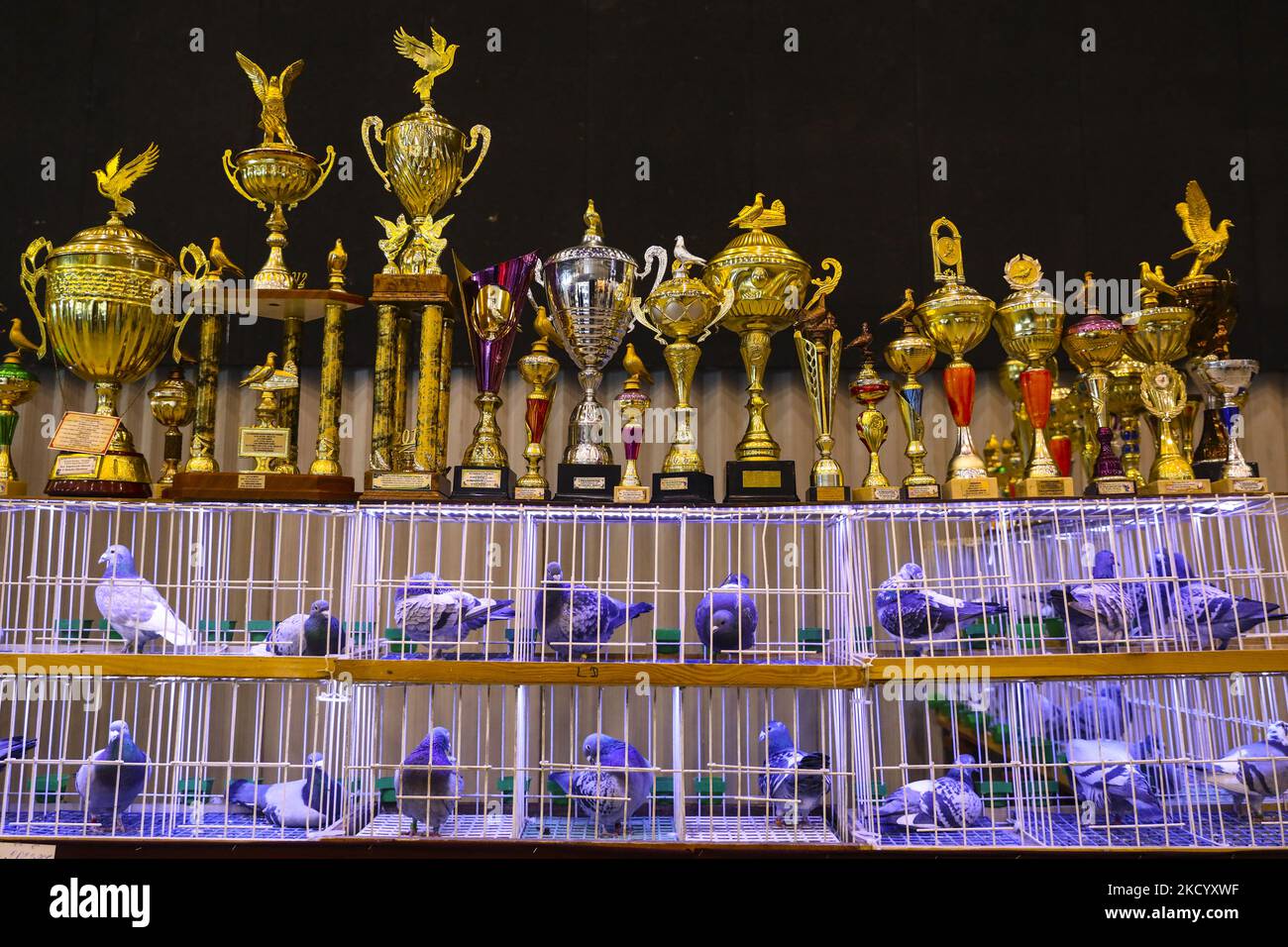 Pigeons and awards are seen at the 70th National Exhibition of Racing ...