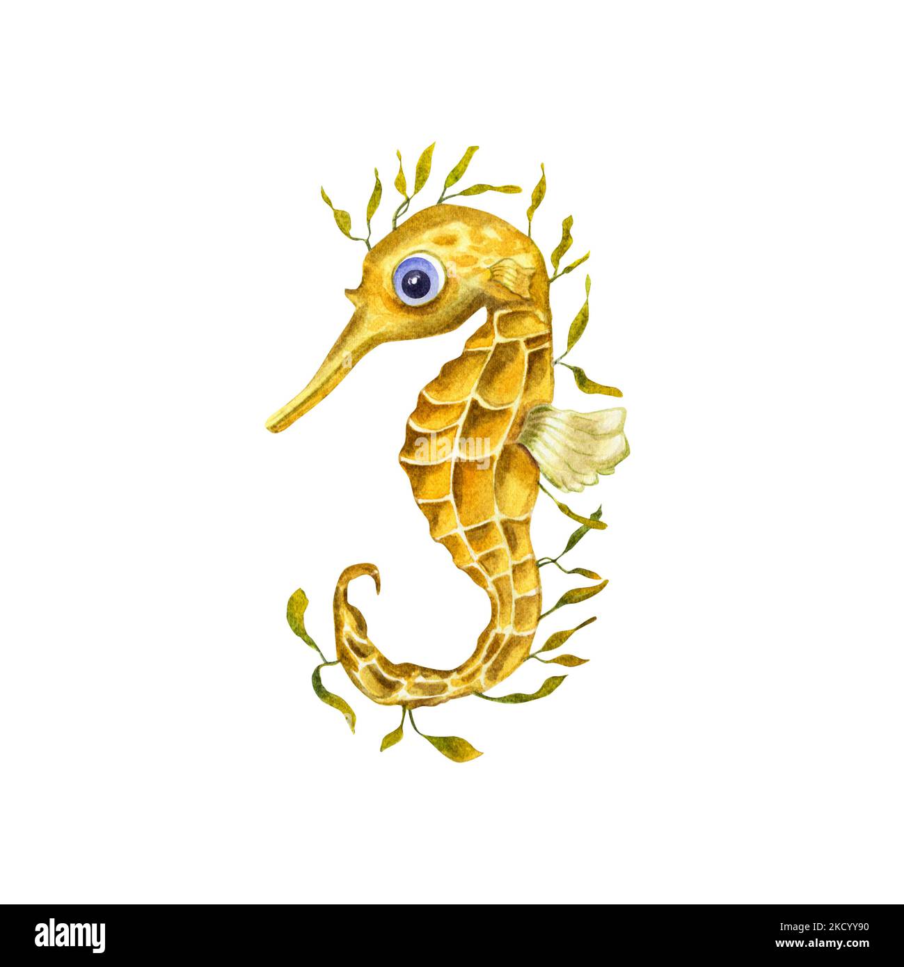 Aquarium fish seafood poster hi-res stock photography and images - Alamy