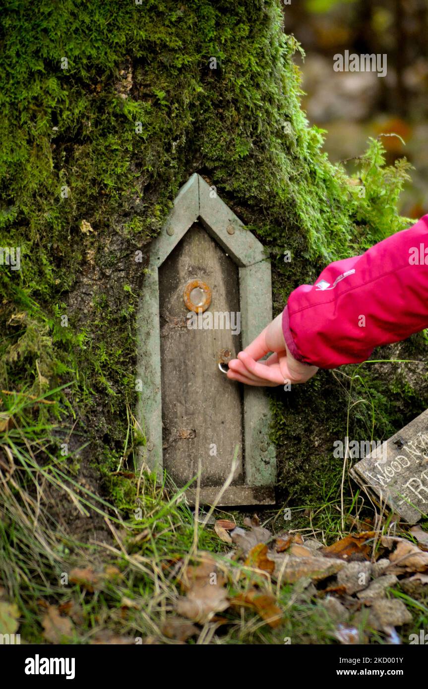 Hidden fairy houses and doors in woodland - Brodick Gardens, Isle of ...