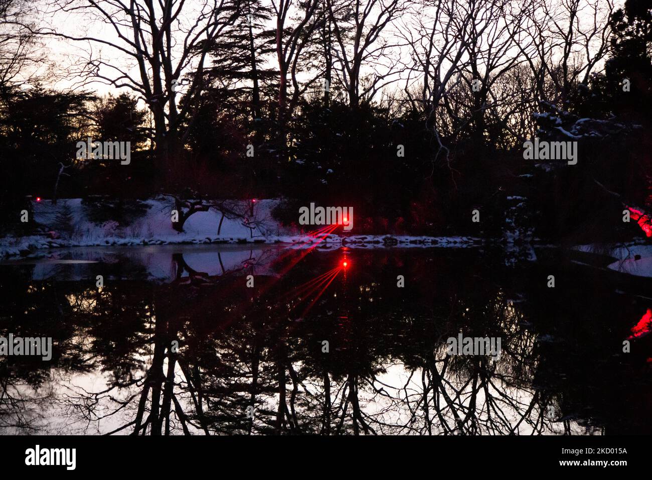 The Brooklyn Botanical Garden Lightscape Show on January 8, 2022 in New ...