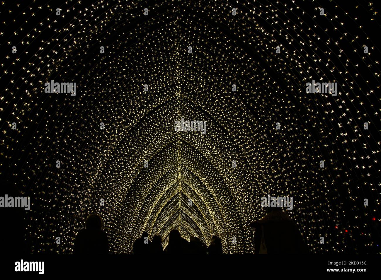 The Brooklyn Botanical Garden Lightscape Show on January 8, 2022 in New ...