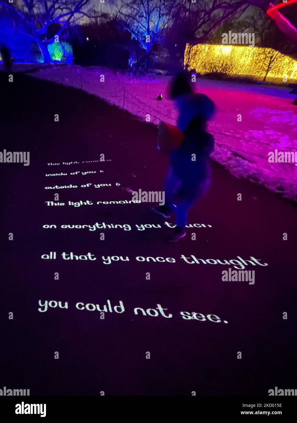 The Brooklyn Botanical Garden Lightscape Show on January 8, 2022 in New ...