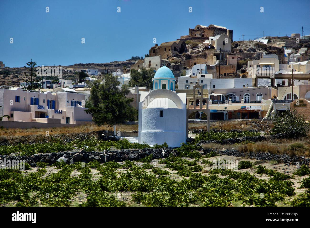 Santorini grapes hi-res stock photography and images - Alamy