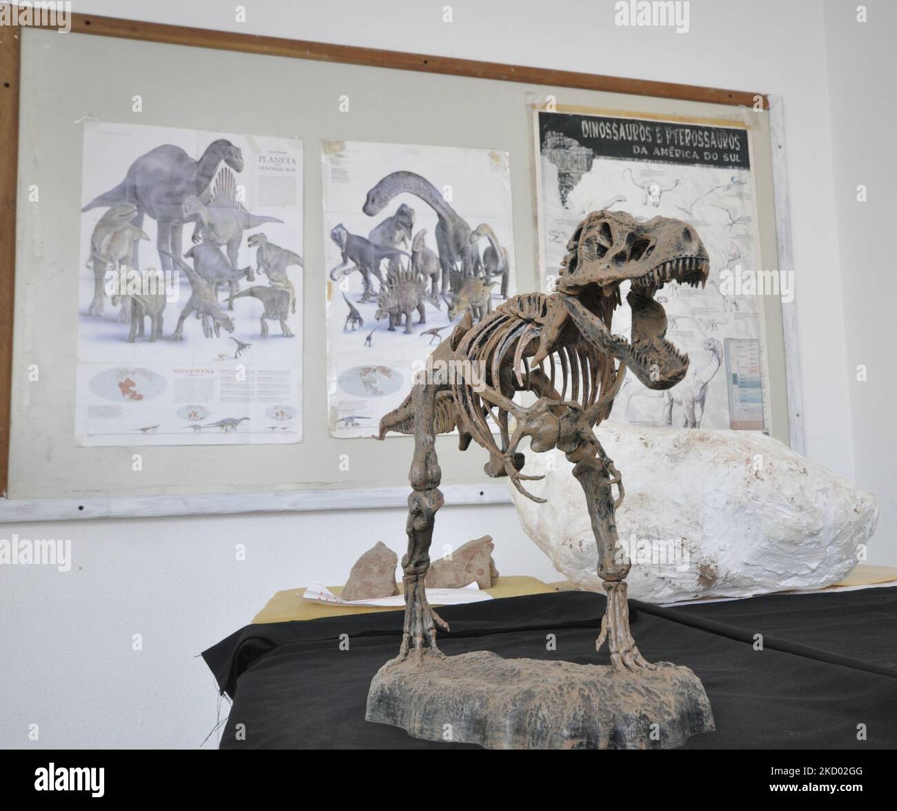 Godzilla 2022 Skeleton