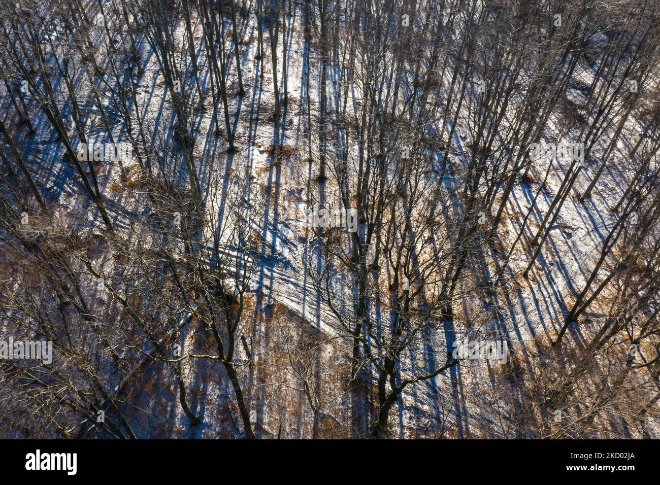 Occupational deforestation protest hi-res stock photography and images ...