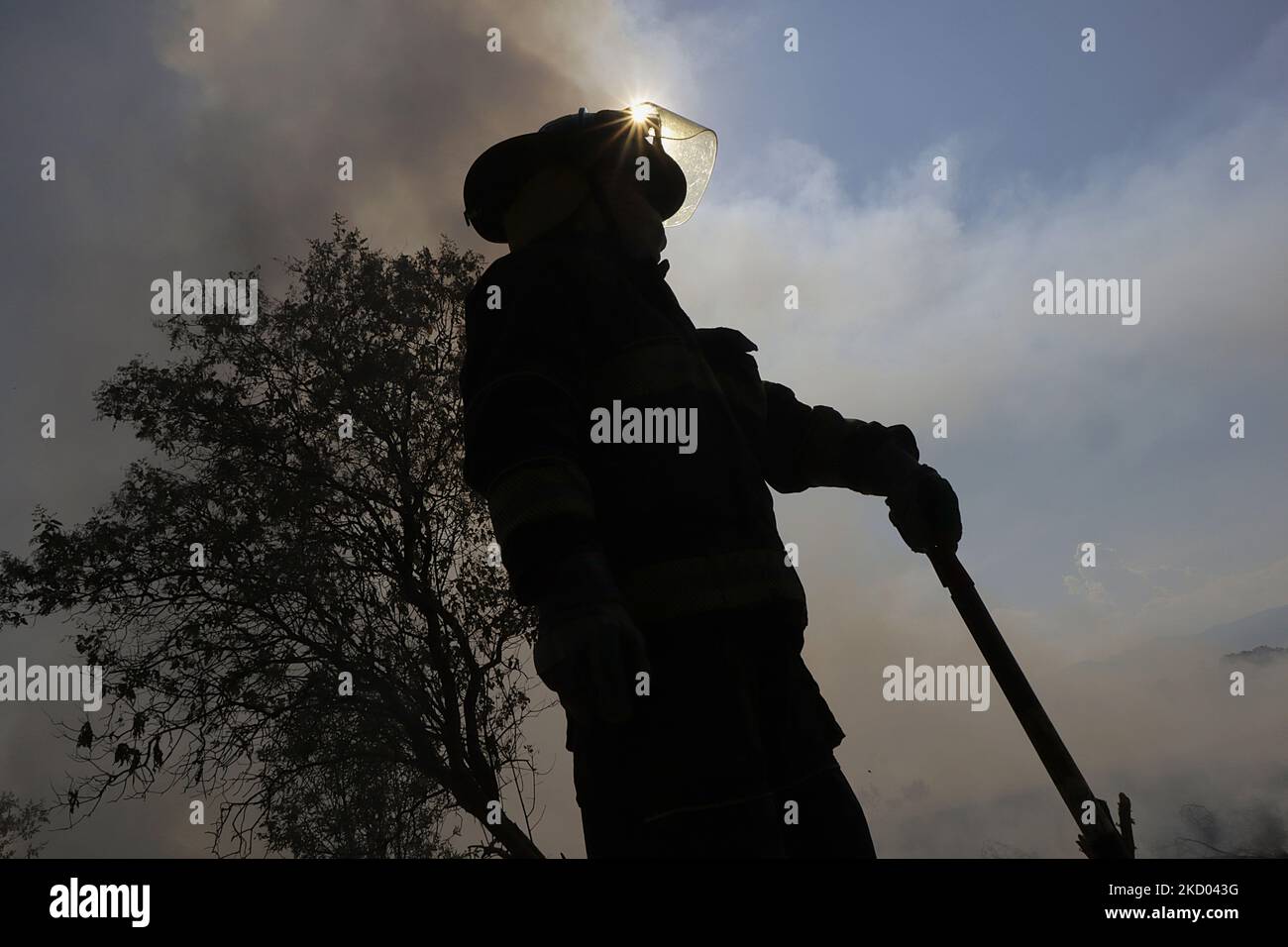 Regulating vessel hi-res stock photography and images - Alamy