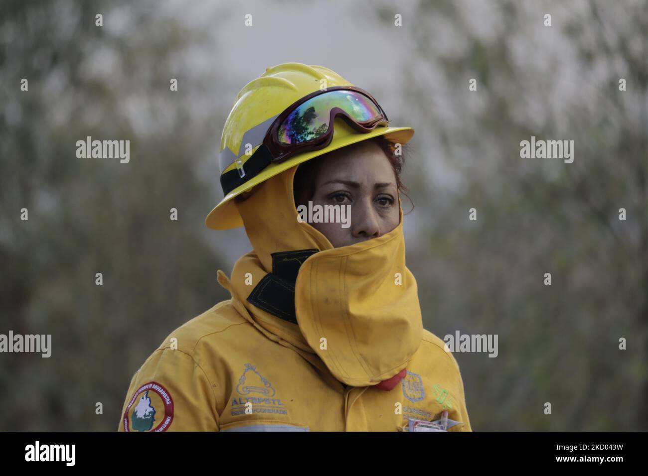 Regulating vessel hi-res stock photography and images - Alamy