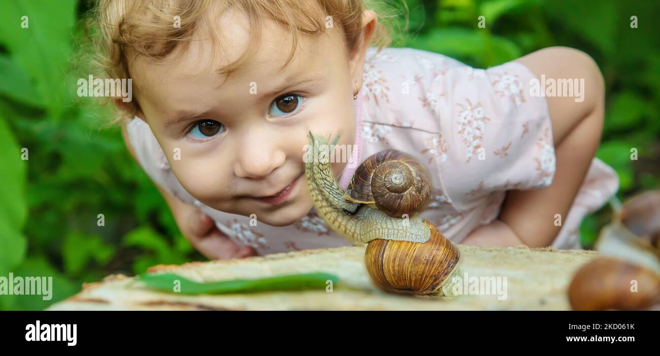The child examines the snails on the tree. Selective focus. Kid Stock ...