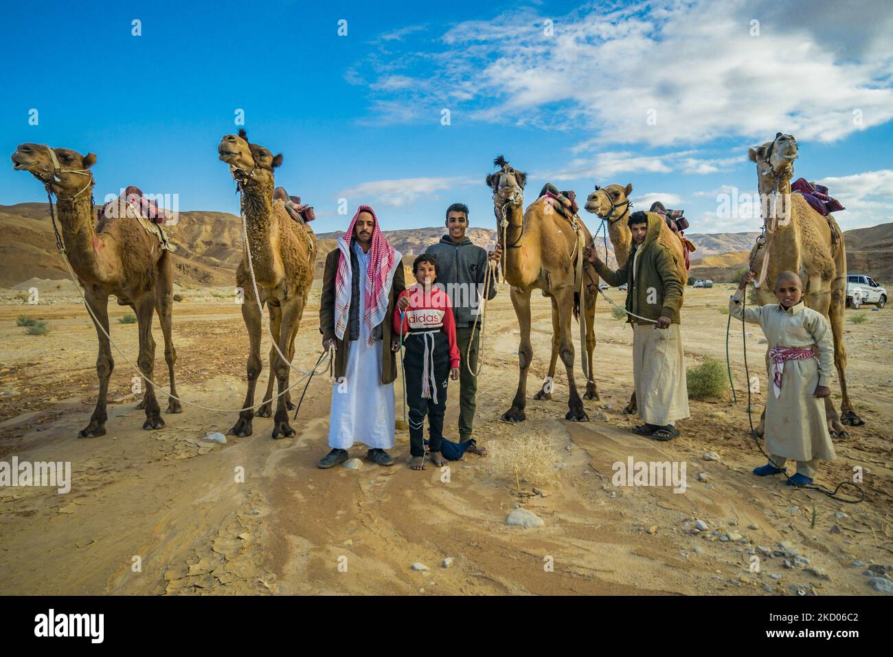 Camels and riders winners of the Wadi Zalaga annual camel race in the South of Sinai. The race ...