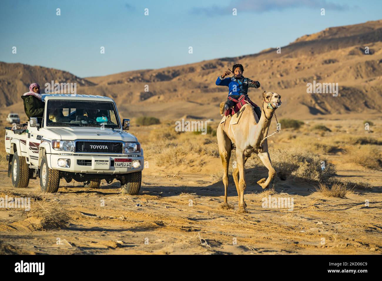 Wadi zalaga camel race hi-res stock photography and images - Alamy