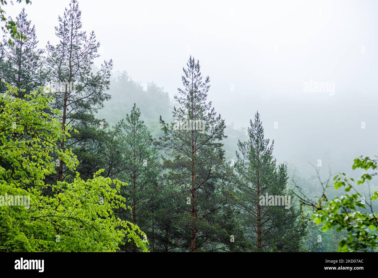 high mountains in spring with foggy clouds Stock Photo - Alamy