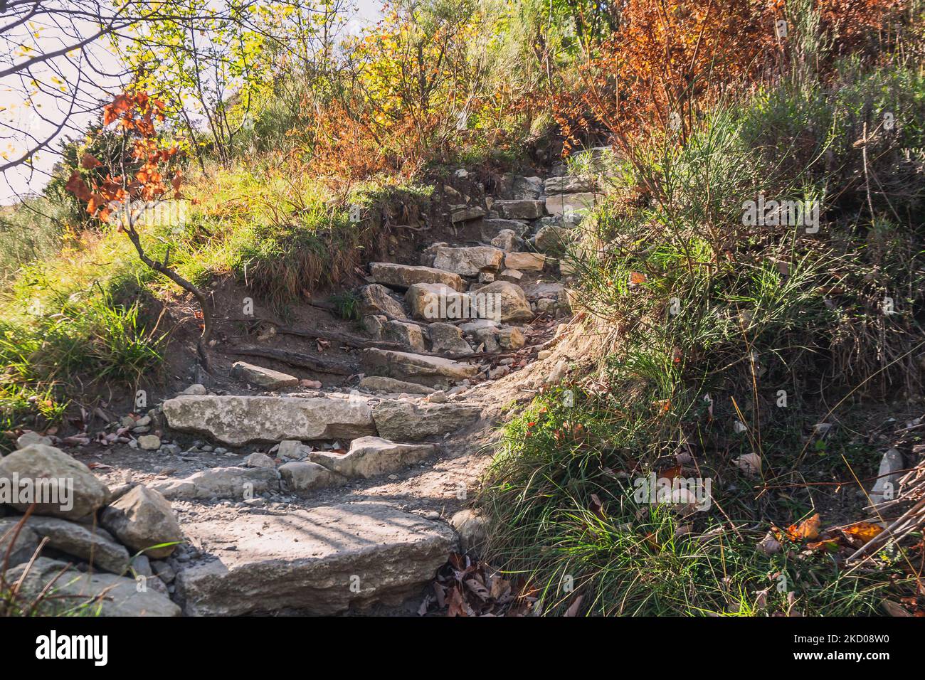A beautiful mountain trail leading to the summit. Stone steps leading ...