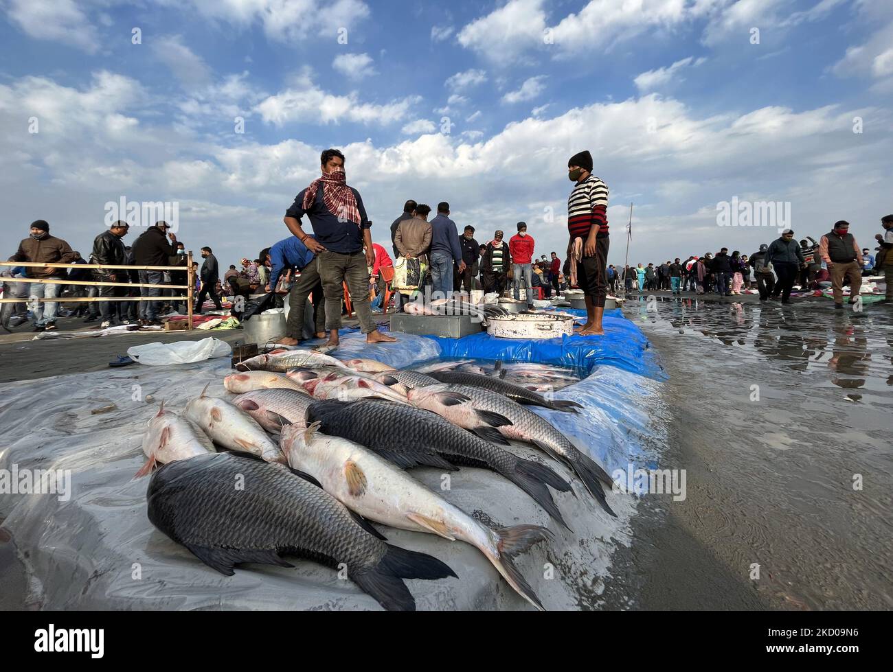 Peoples gathering to buy fish at a market on the occasion of Uruka ...